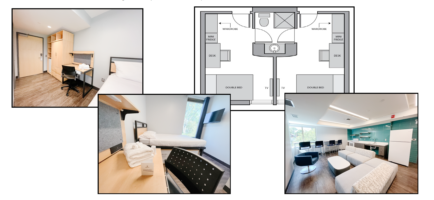 Capstone - NeuroTech Microcredential Program